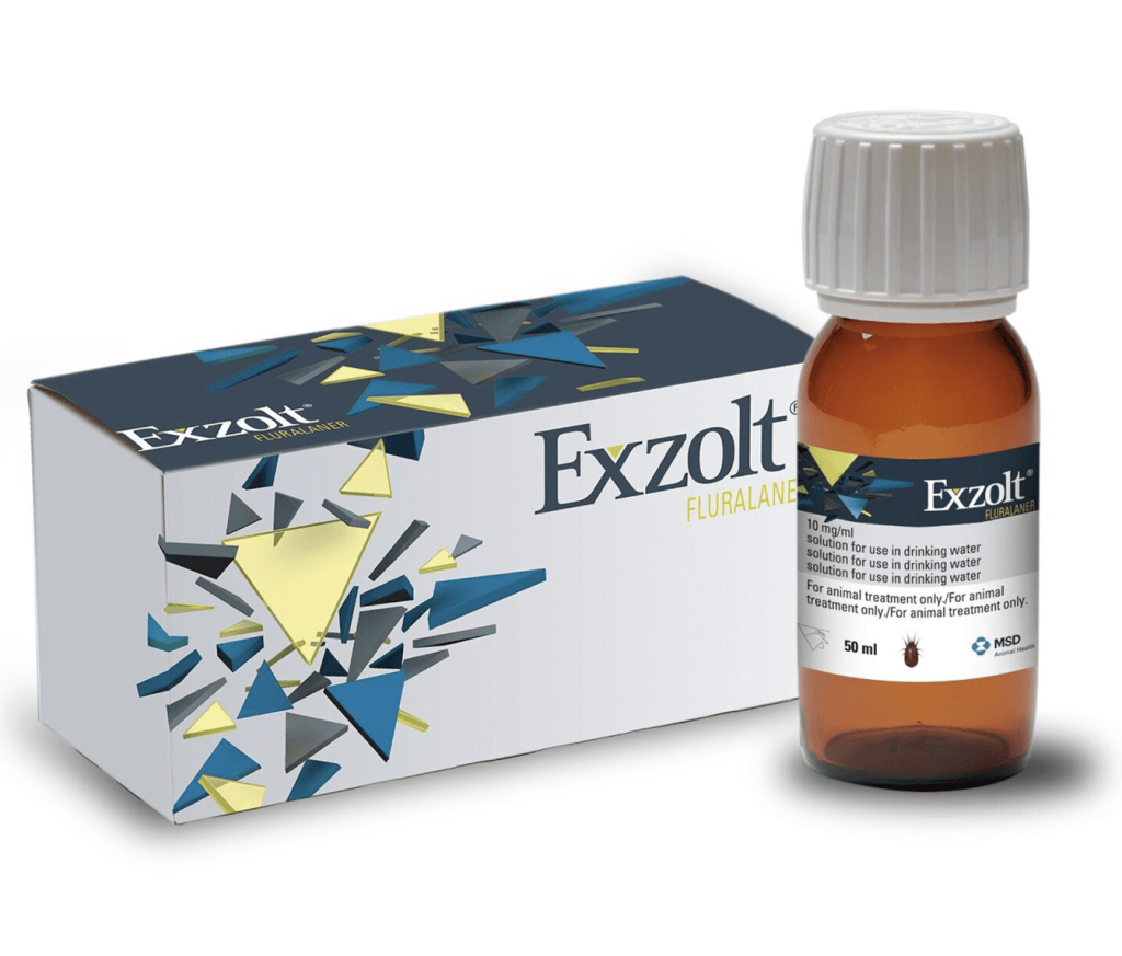 Lice & Mites in Chickens & How to Treat Them. | Evans Chickens