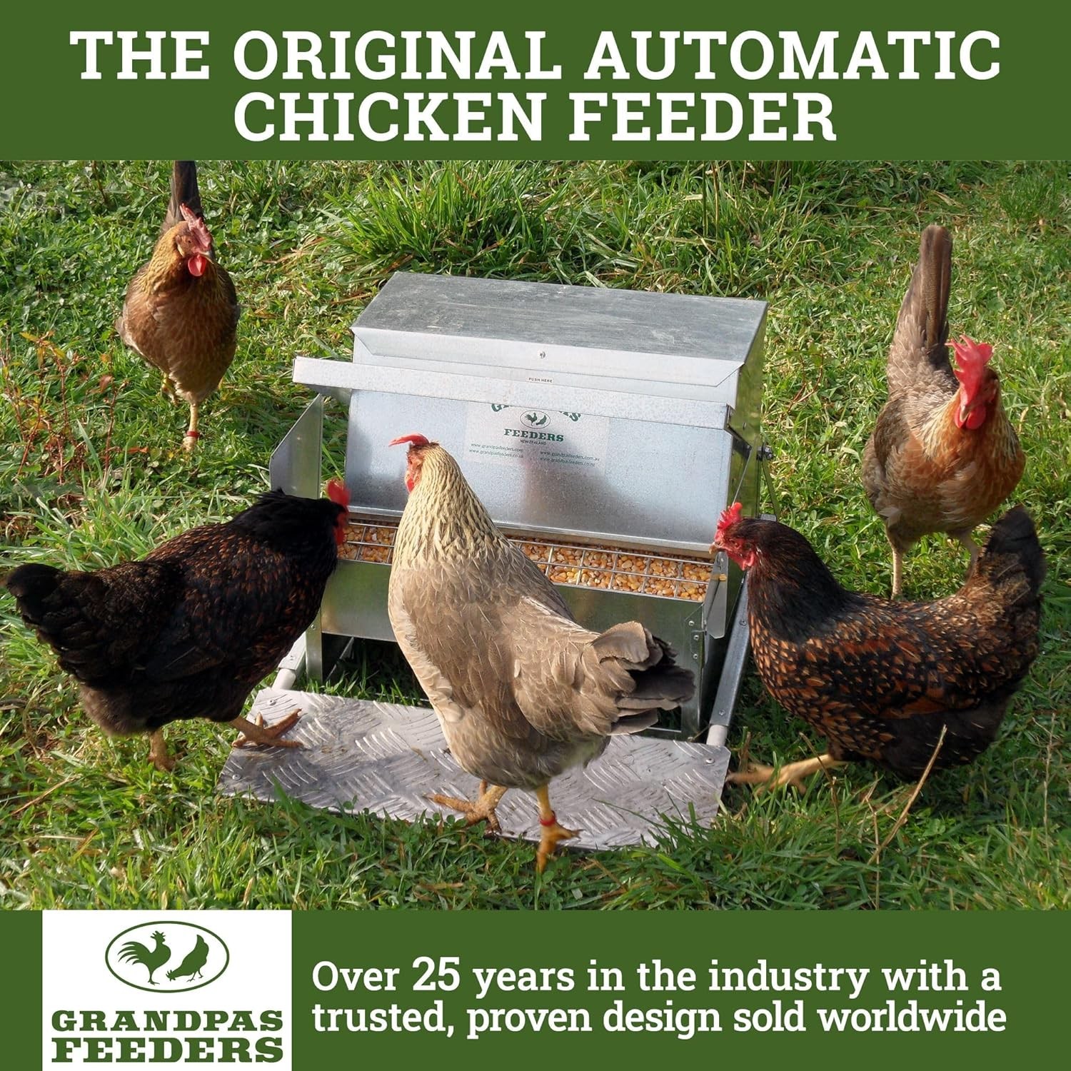 Grandpa Feeders in stock at Evans Chickens | Evans Chickens